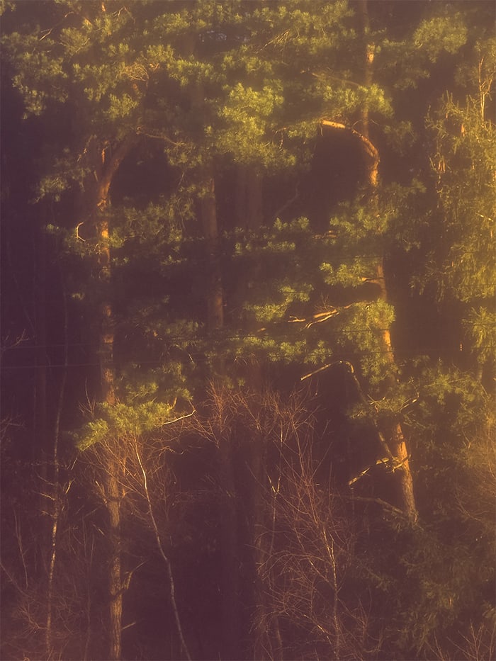 Out of my window – BOOOOOOOM! – CREATE * INSPIRE * COMMUNITY * ART ...