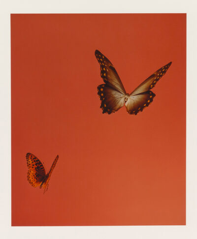 Photographer Spotlight: Wade Schaul – BOOOOOOOM! – CREATE * INSPIRE ...