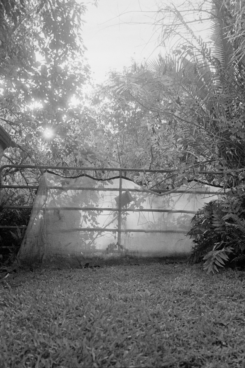 Arboretum Booooooom Create Inspire Community Art Design