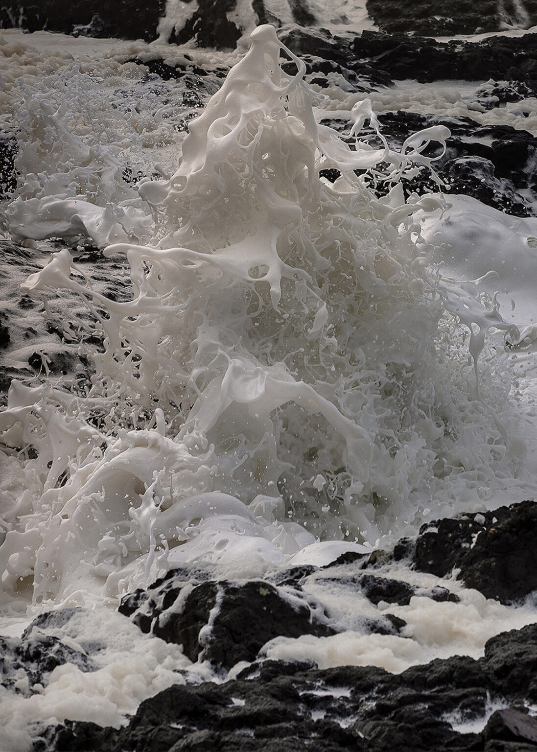 "Strange Nature" by Photographer Delaney Allen
