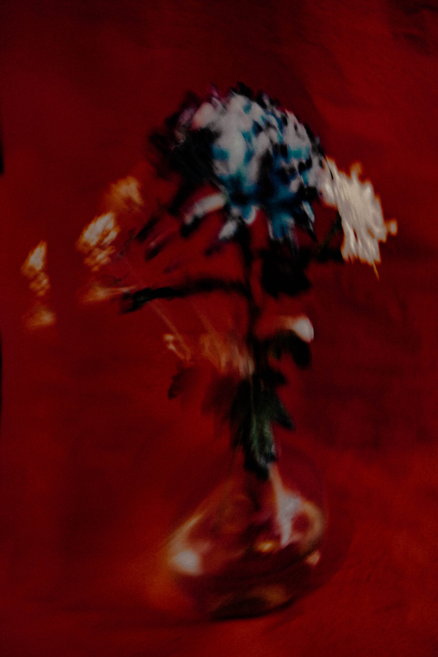 Blomi – BOOOOOOOM! – CREATE * INSPIRE * COMMUNITY * ART * DESIGN ...