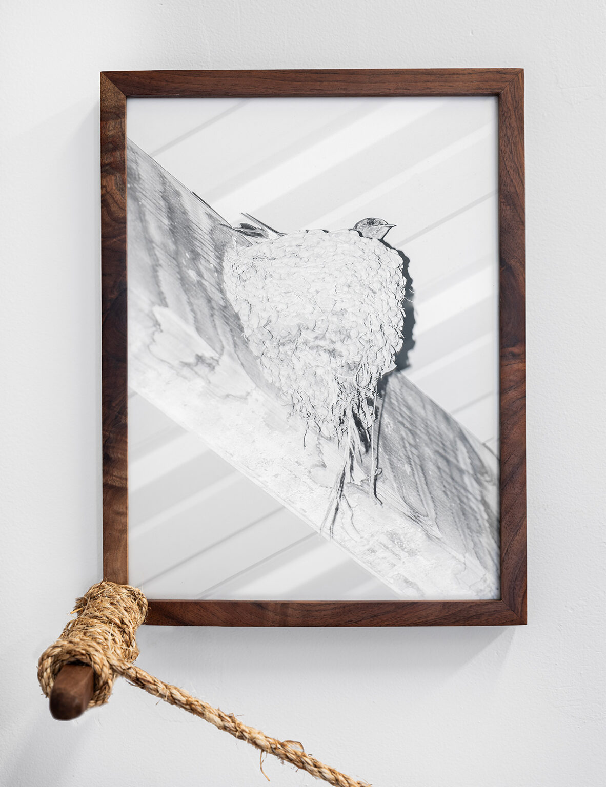 "try, take time – take time, try" by Photographer Jesse Ly