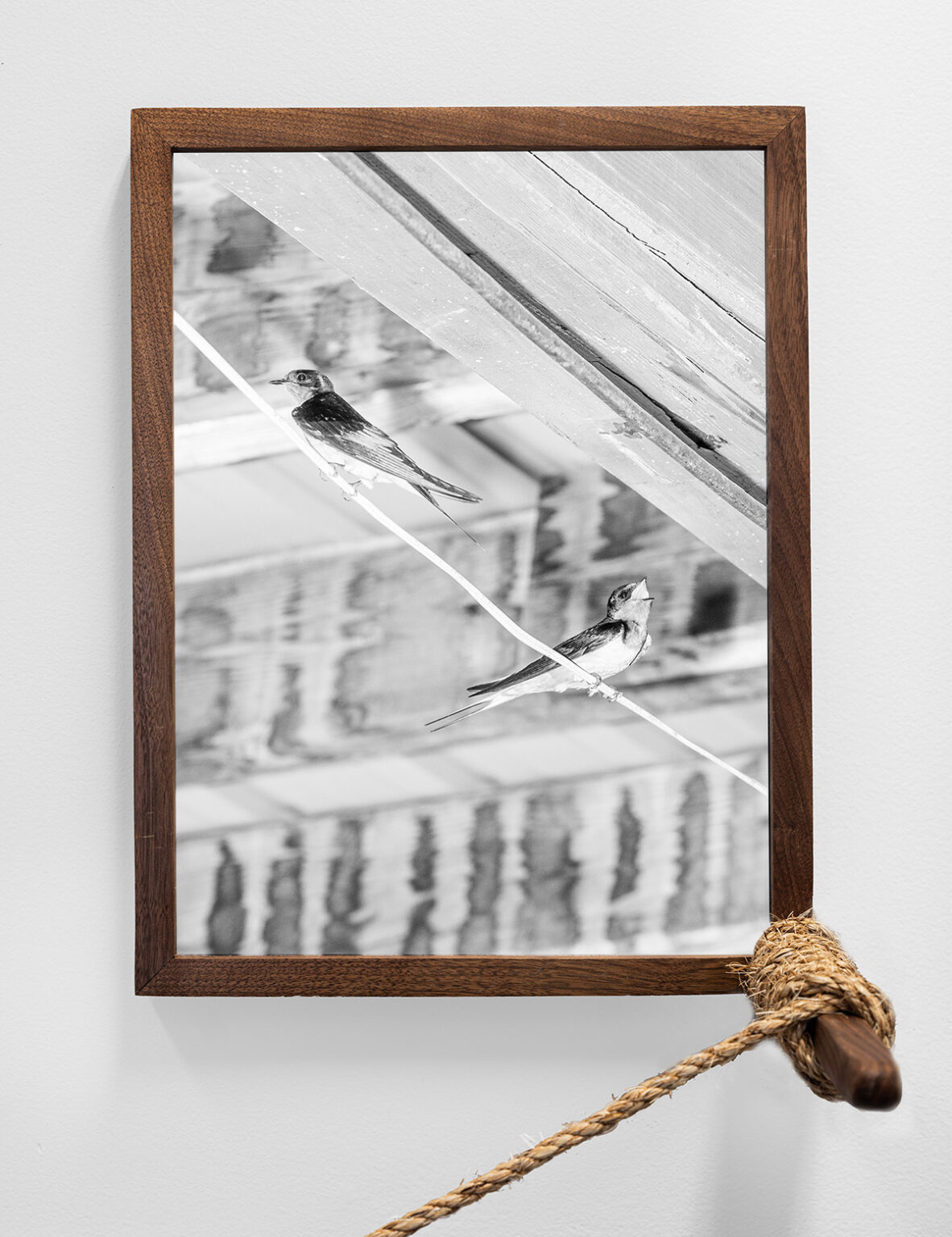"try, take time – take time, try" by Photographer Jesse Ly